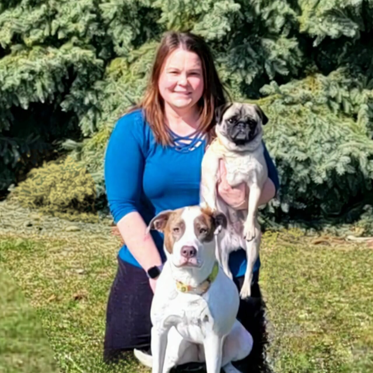 Veterinarian In Portland, MI 48875 | Portland Veterinary Service